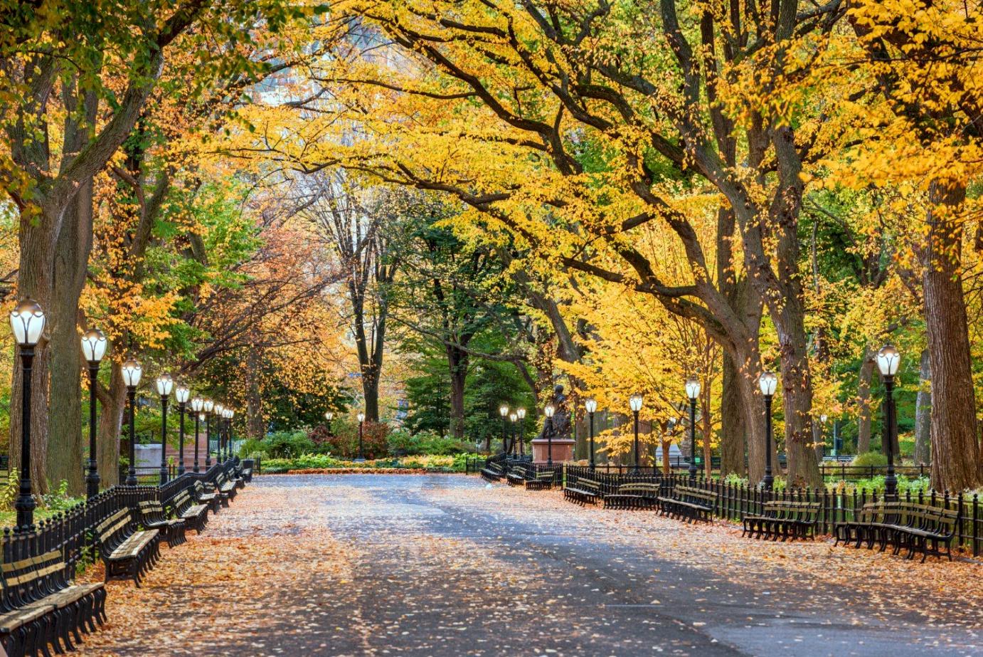 The 9 Most Enchanting Fall Festivals in New York
